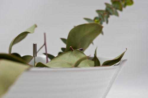 The Alinea Project – Page 5