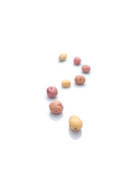 Edible Stones – The Alinea Project