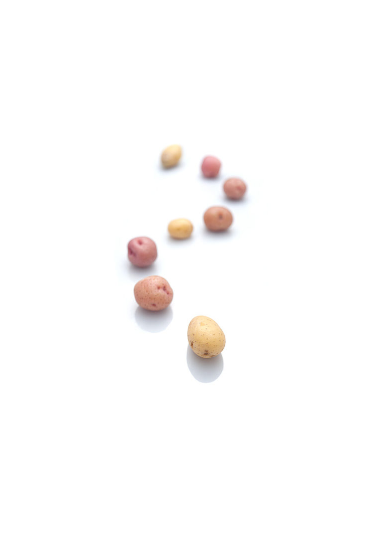 Edible Stones – The Alinea Project