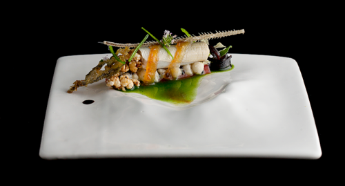 Tessendorf Plate – The Alinea Project